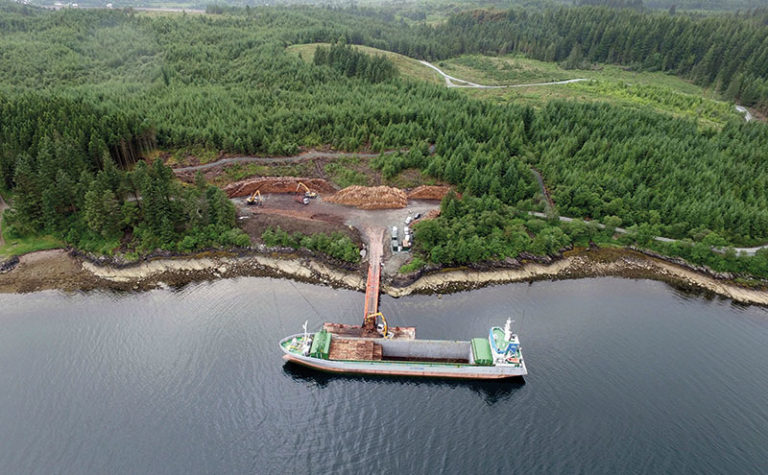 In the dock: Liebherr machines aid floating pier project | Project Plant