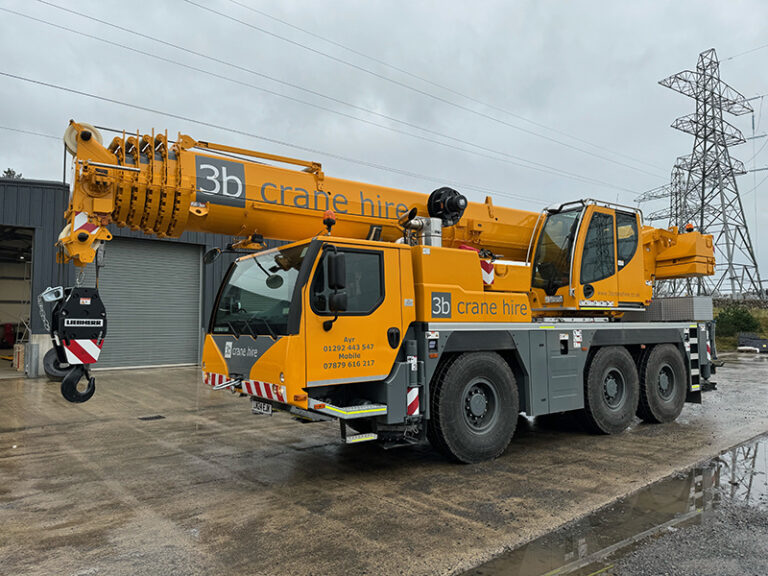 Crane specialist marks tenth anniversary with Liebherr double | Project ...
